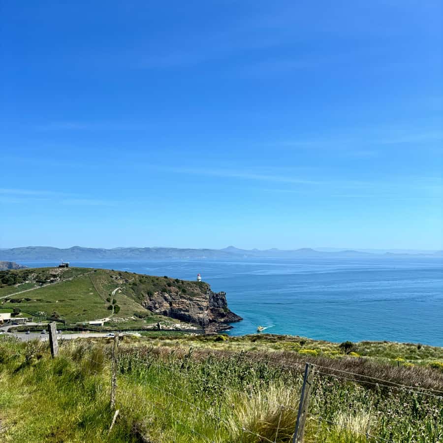 Dunedin City & Otago Peninsula Scenery Day Tour | GetYourGuide