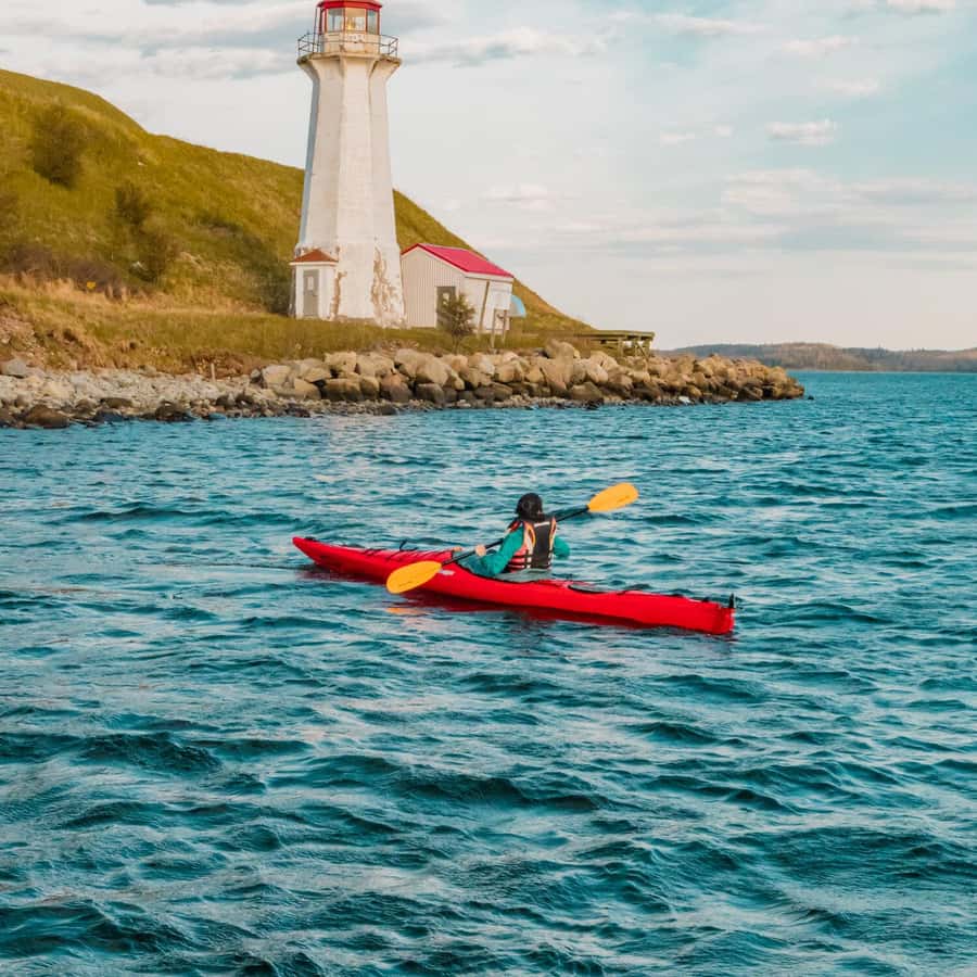 Halifax : Visite guidée en kayak avec plusieurs options | GetYourGuide