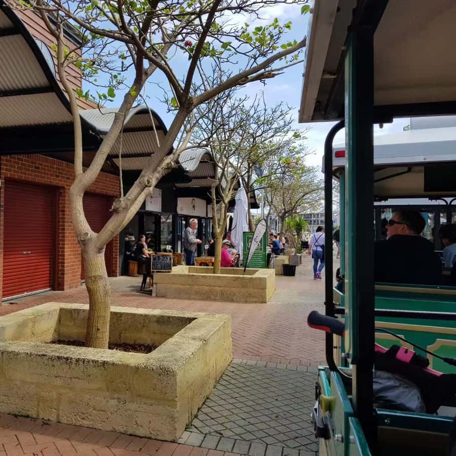Mandurah: Big Toot 30 mins City Tour | GetYourGuide