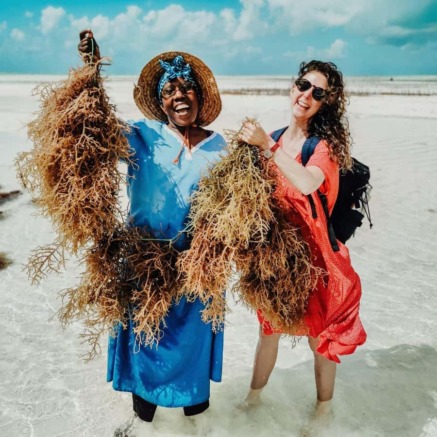 Zanzibar: Mtende Village and Seaweed Center Tour with Pickup | GetYourGuide