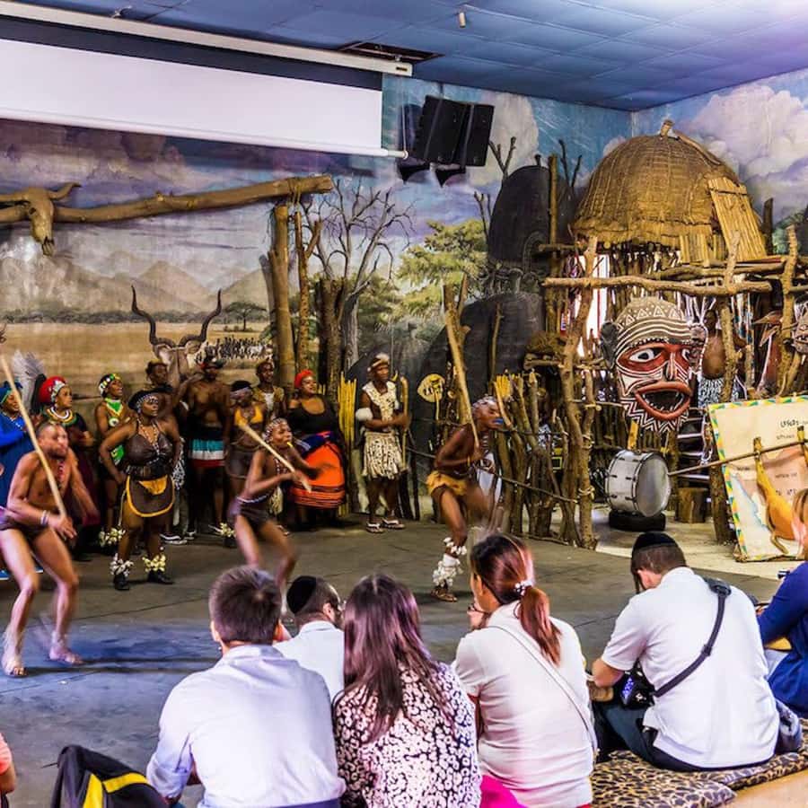 Hartbeespoort: Lesedi Village & Lion & Safari Park Tour | GetYourGuide