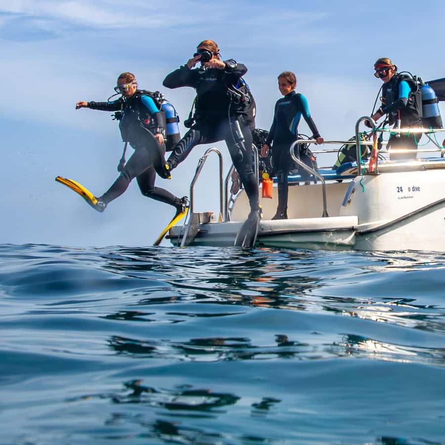 Mallorca: Try Scuba - Schnuppertauchen vom Boot mit SSI-Instructor ...