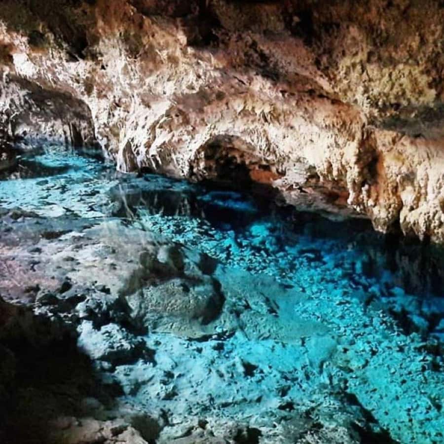 Zanzibar: Kuza Cave, Blue Lagoon, Starfish Tour | GetYourGuide