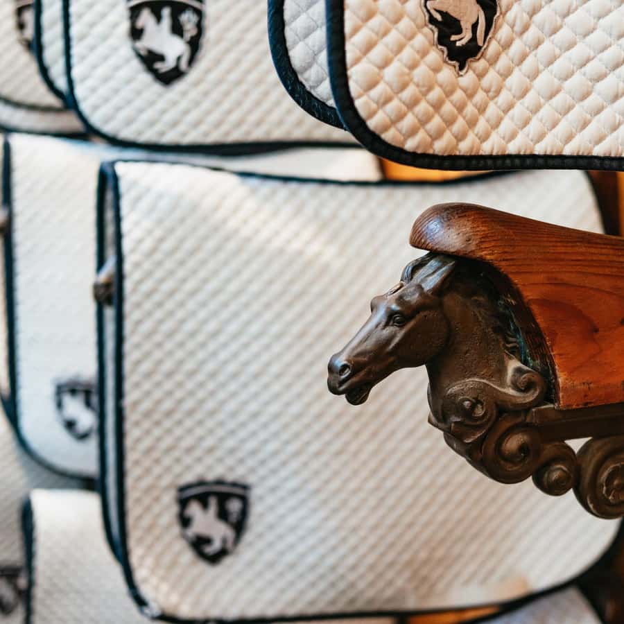 Vienna: Spanish Riding School Stables Guided Tour | GetYourGuide