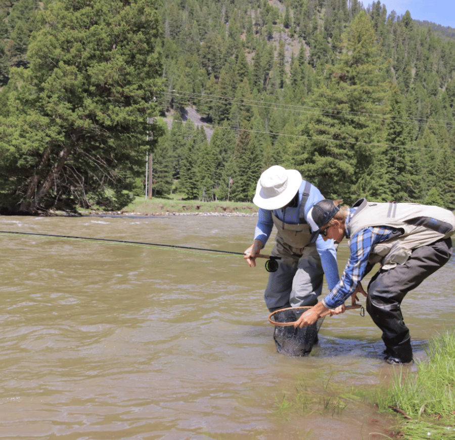 Big Sky: Learn to Fly Fish on the Gallatin River (3 hours) | GetYourGuide