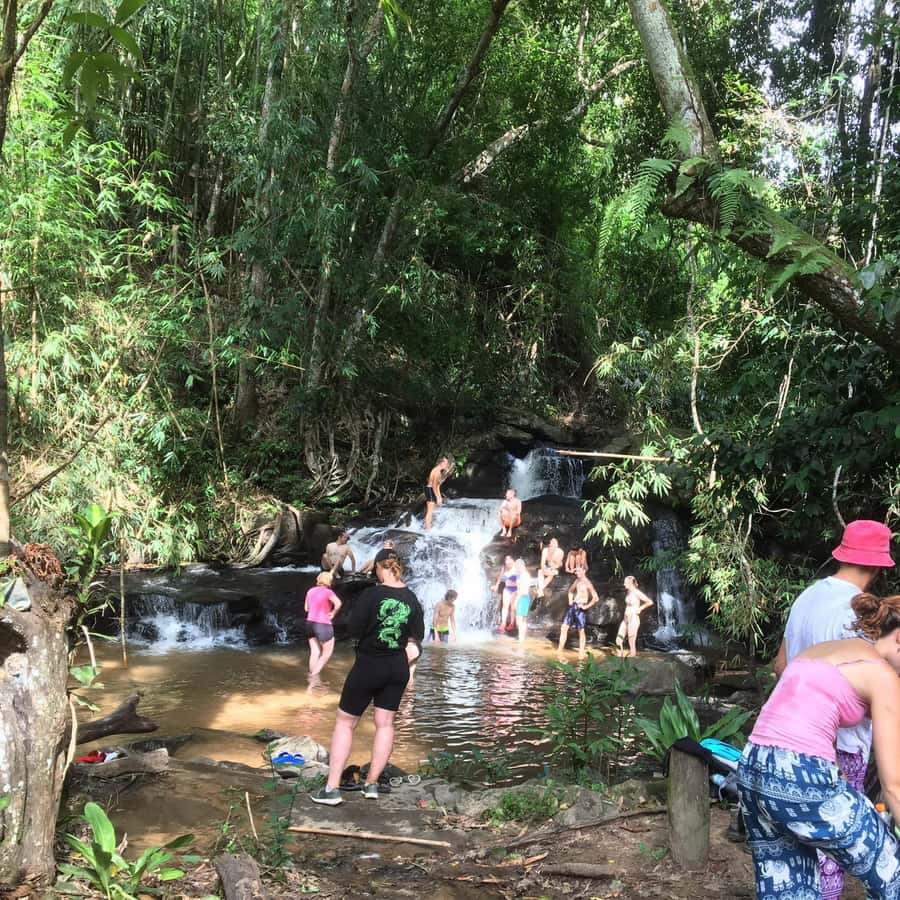 Chiang Mai: 2-Day Jungle Trek with Elephant Farm & Raft Ride | GetYourGuide