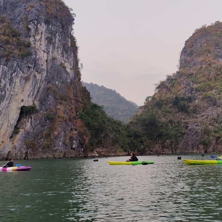 Cat Ba: Hang Vem Lagoon Trek with Abseiling and Kayaking | GetYourGuide