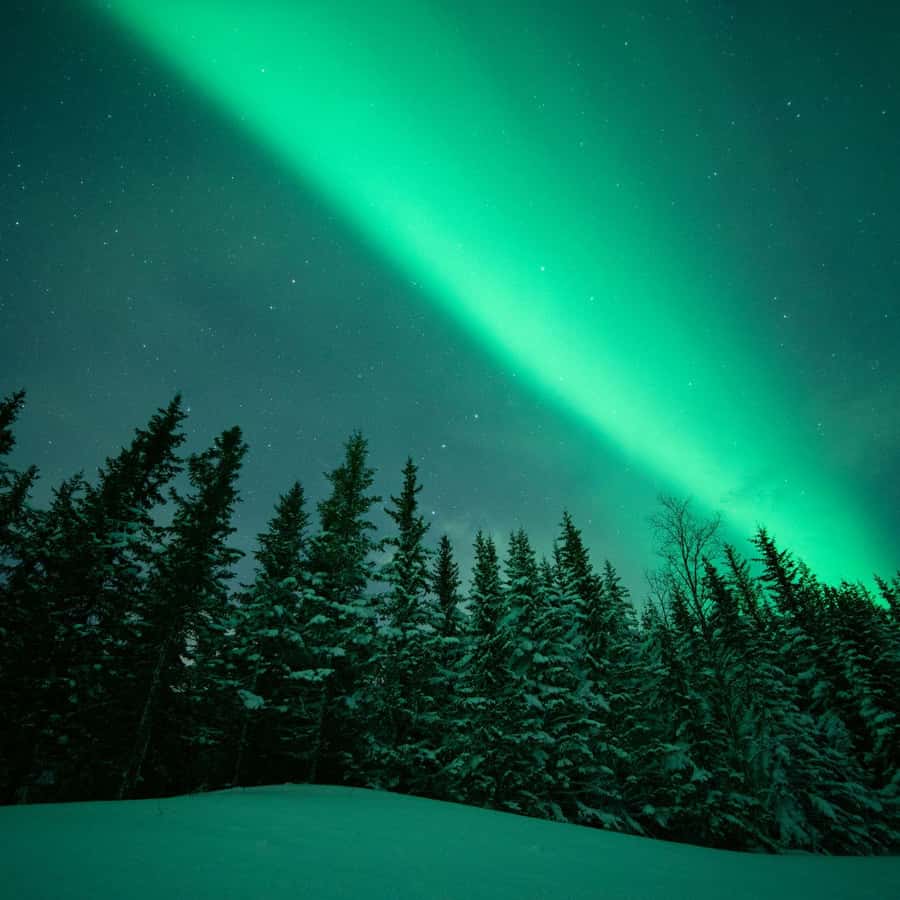 Levi: caccia privata all'aurora boreale nella natura selvaggia ...
