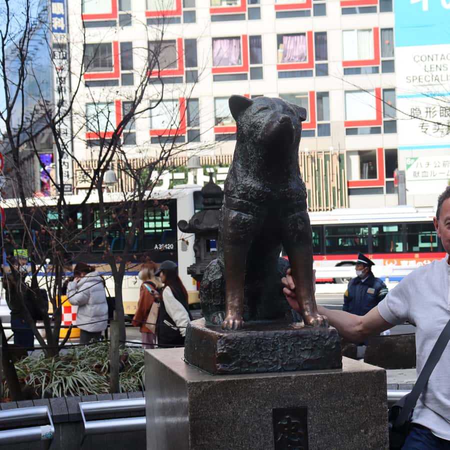 Tokyo Morning Highlights: Shibuya, Asakusa, Meiji Shrine | GetYourGuide