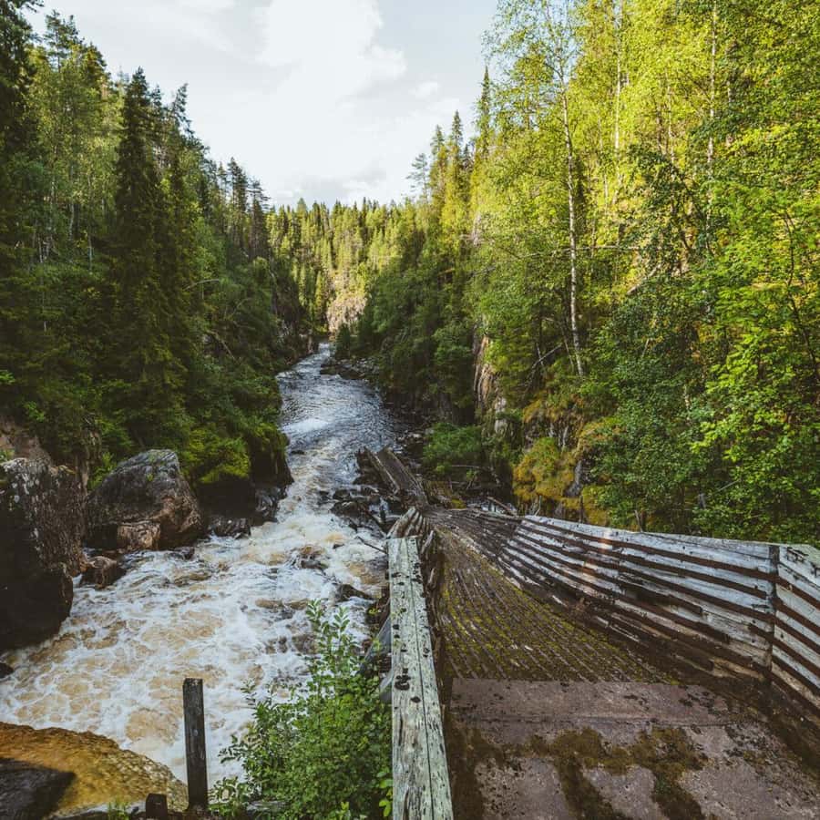 Rovaniemi: Full-Day Tour to Lapland's Best Attractions | GetYourGuide