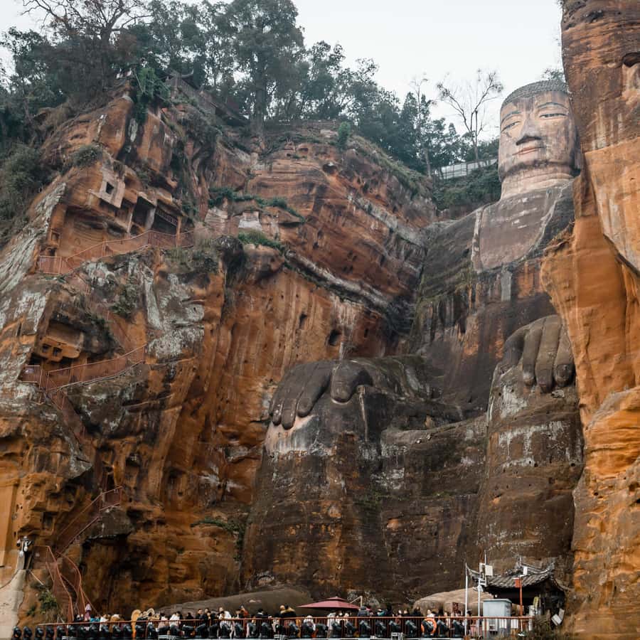 Chengdu: Base dei panda/Buddha di Leshan/Emei/Tour della città ...