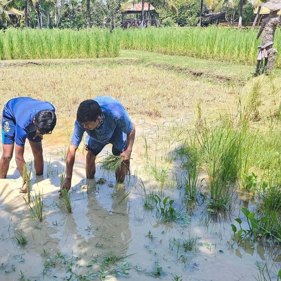 Old Phuket Farm Ticket - Countryside Local Life Culture | GetYourGuide