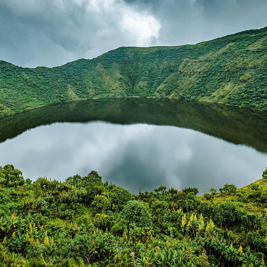 Volcanoes national park : Bisoke hiking day trip | GetYourGuide