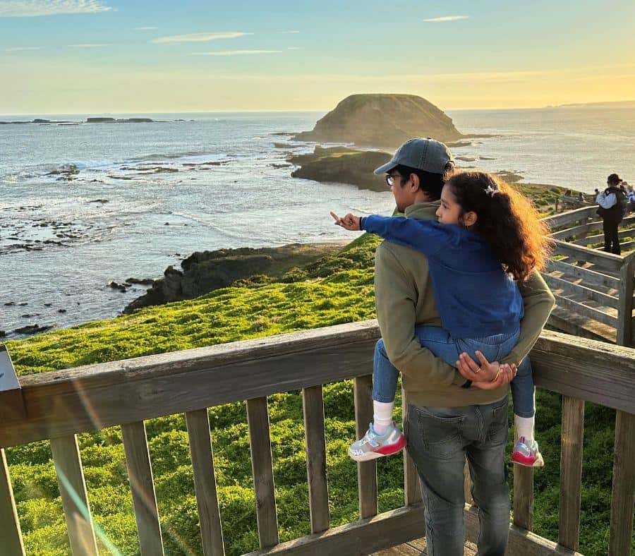 Phillip Island Penguin Parade Afternoon Tour from Melbourne | GetYourGuide