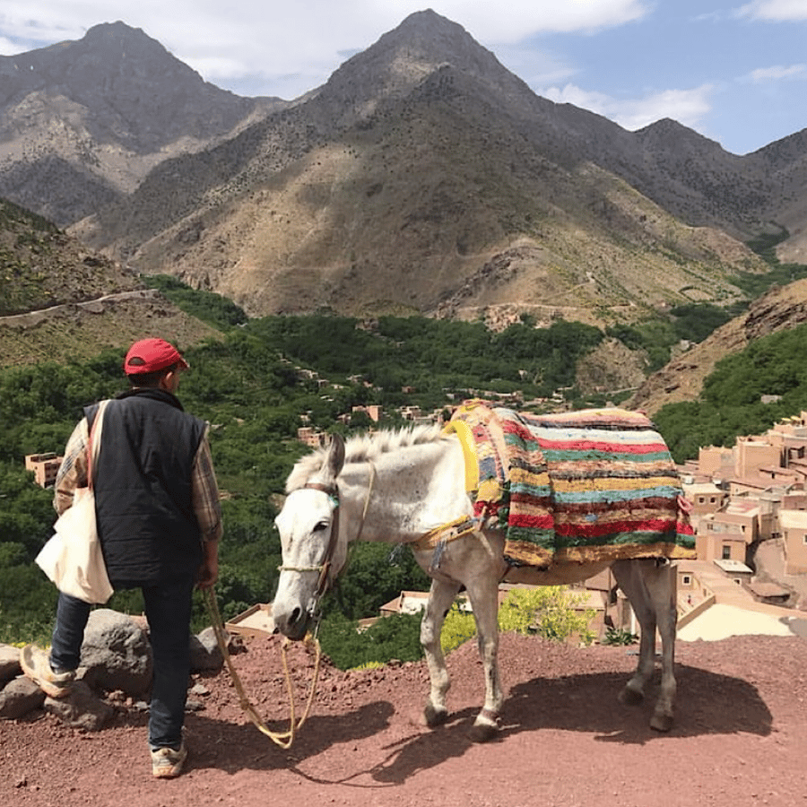 Marrakech: 3-Day High Atlas Mountains Hiking Tour | GetYourGuide
