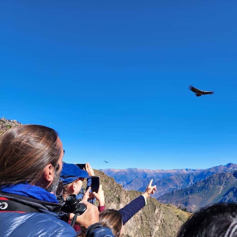 From Arequipa: 1-Day Colca Canyon Tour ending in Puno | GetYourGuide
