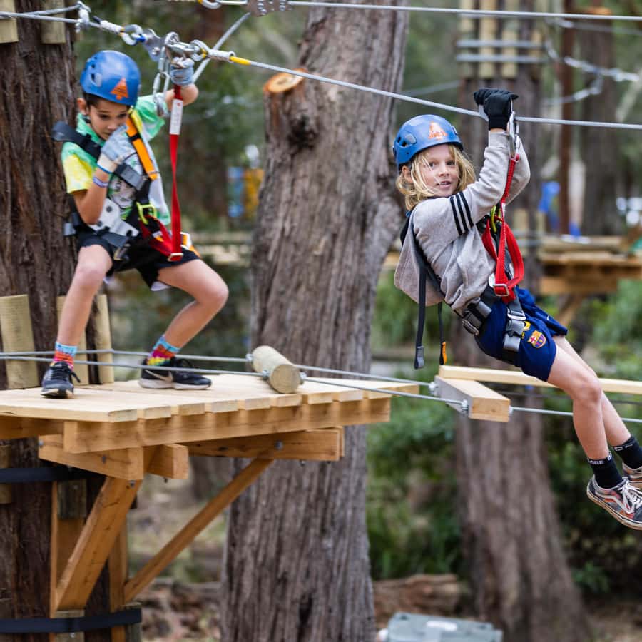Ourimbah: Central Coast Junior Tree Ropes Course | GetYourGuide