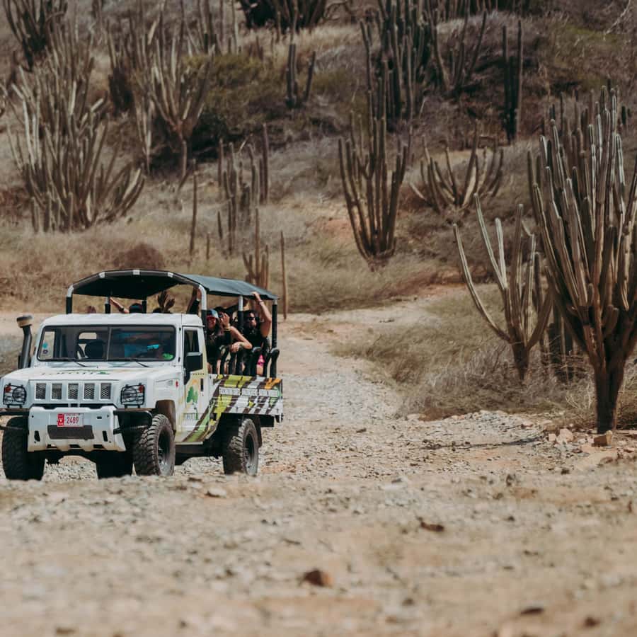 Noord: Arikok National Park Jeep Tour with Baby Beach Visit | GetYourGuide