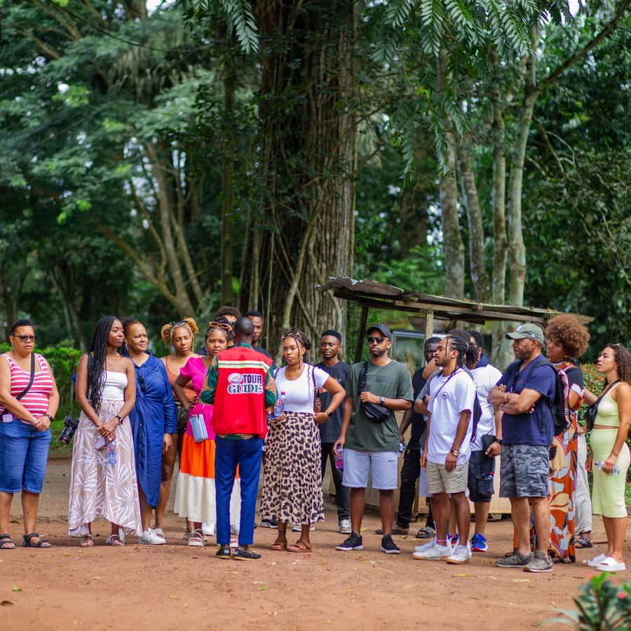 Experience Boti Twin Waterfalls, Umbrella Rock, 3H-Palm Tree | GetYourGuide