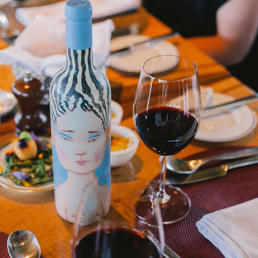 VIK Winery Tour with Wine Tasting and Lunch from Santiago | GetYourGuide