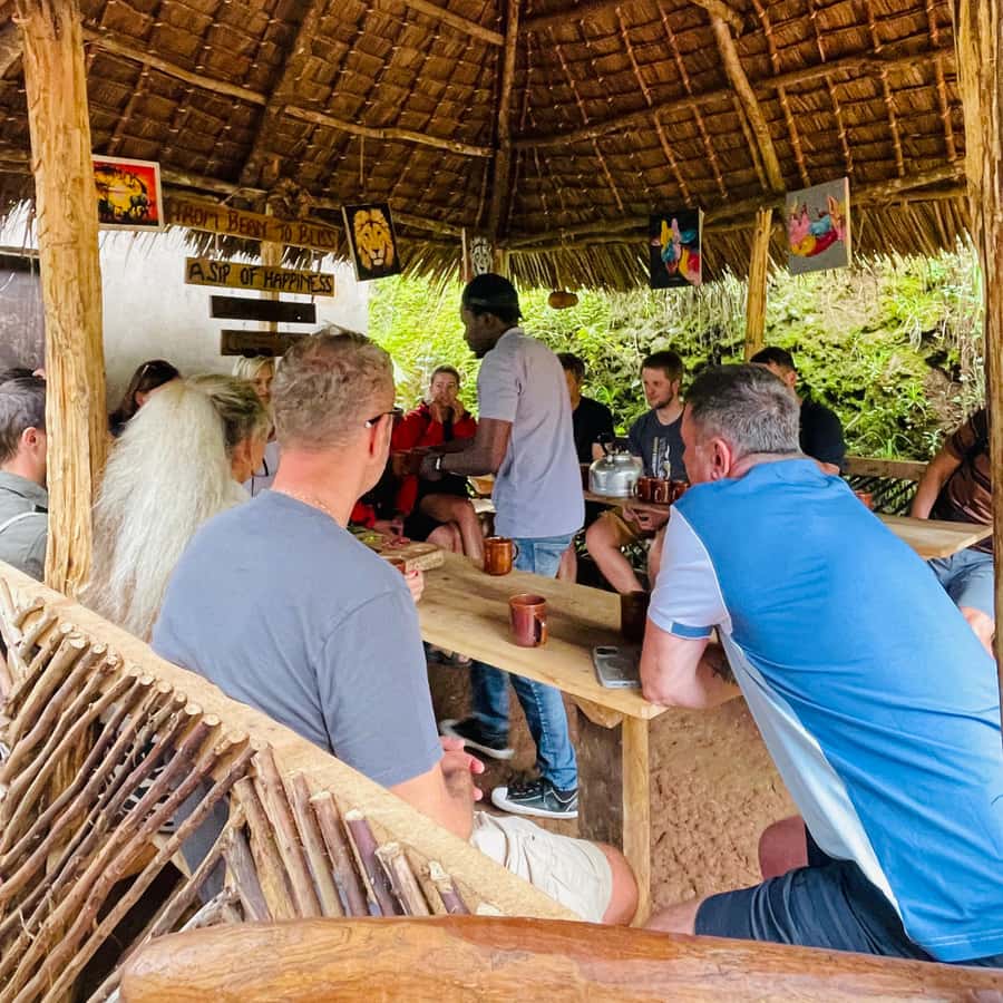 Moshi/Arusha :Materuni Waterfalls, Coffee Tour & Hot Springs | GetYourGuide