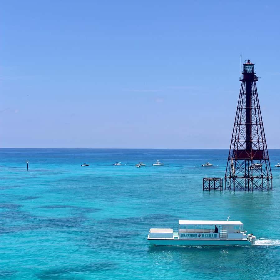 Marathon: Snorkeling Adventure by Boat at Sombrero Reef | GetYourGuide
