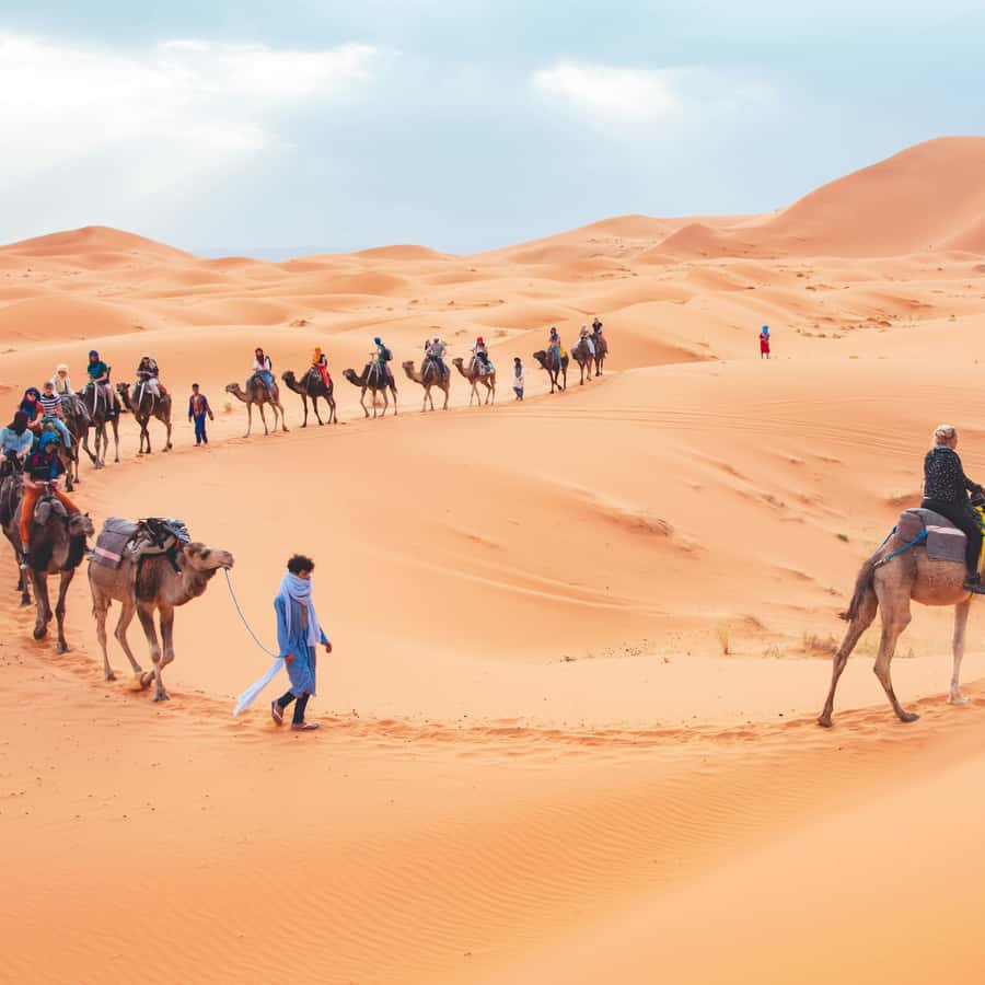 Marakeş'ten: 3 günlük Merzouga ve Sahra Çölü Turu | GetYourGuide