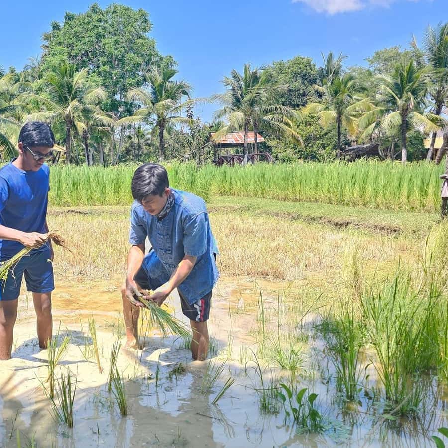 Old Phuket Farm Ticket - Countryside Local Life Culture | GetYourGuide