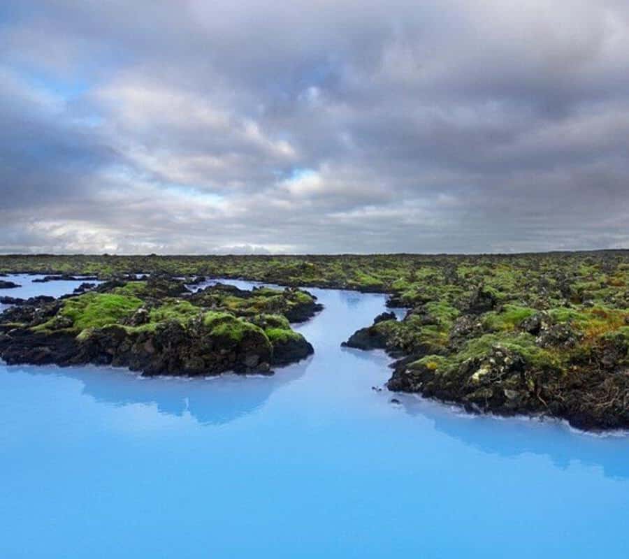 Zanzibar: Blue Lagoon, Starfish, Snorkelling & Boat Ride | GetYourGuide