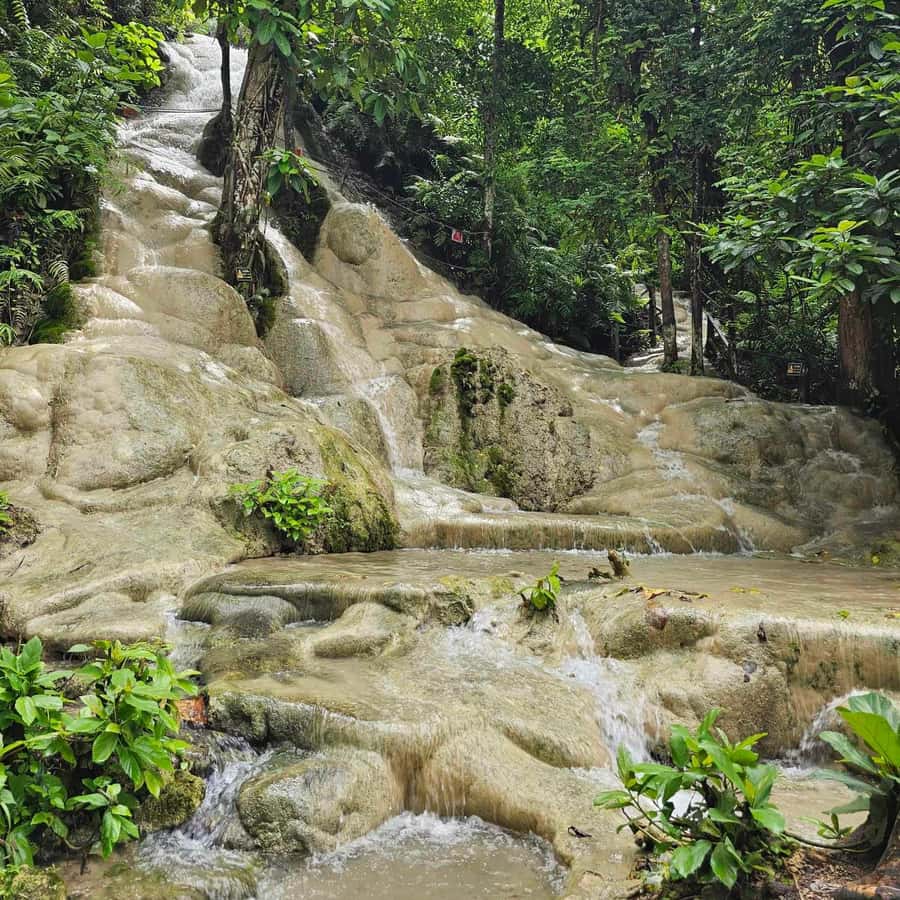 Chiang Mai: Dantewada Land of Angels & Sticky Waterfall Tour | GetYourGuide