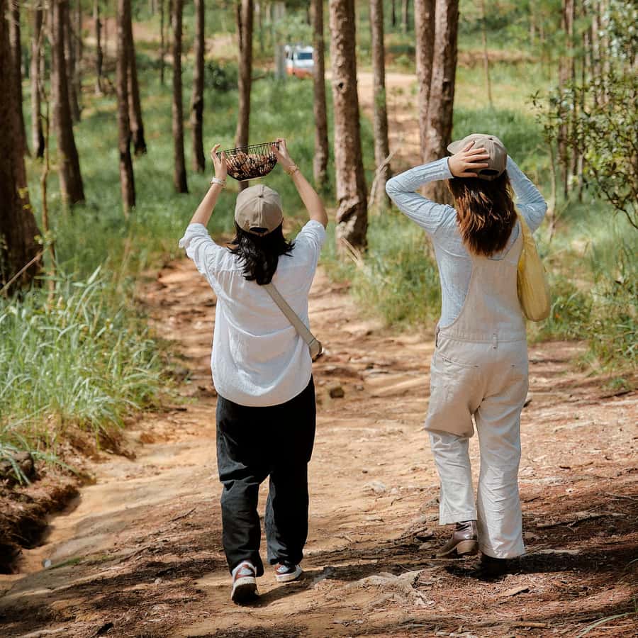 Dalat: Mushroom foraging & hiking, forest bathing & wellness | GetYourGuide