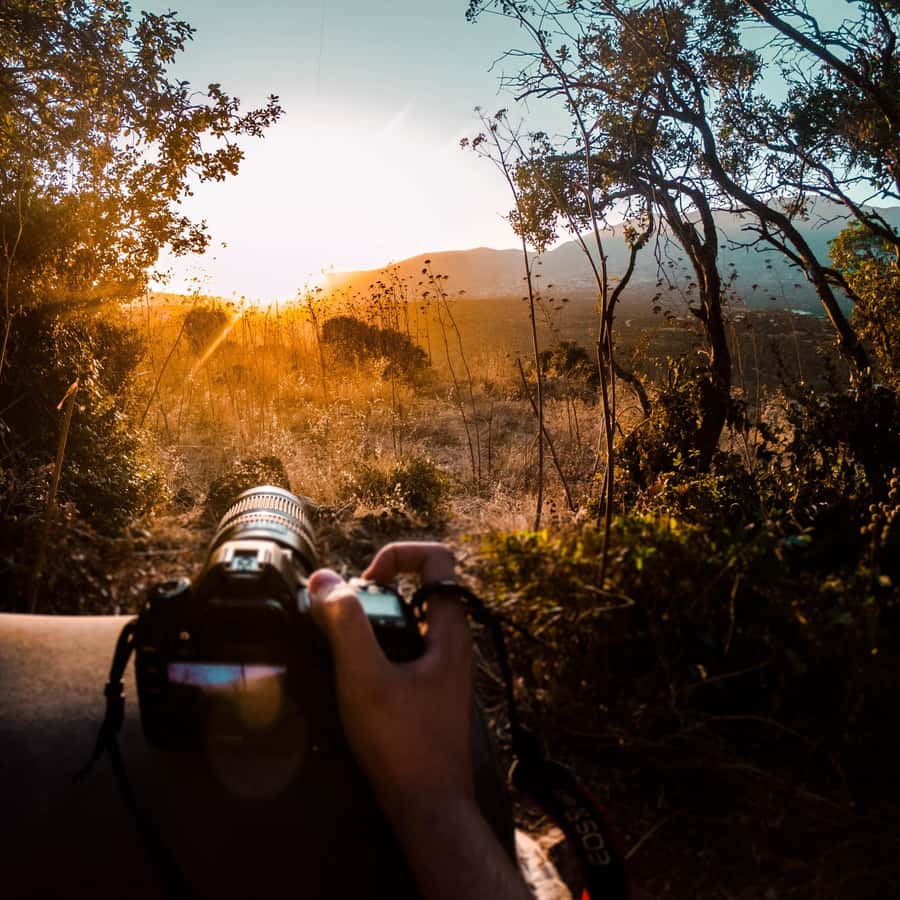 Gujarat: Devalia Park ( Devaliya ) Guided Jeep Safari | GetYourGuide