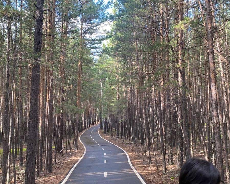 Astana: Burabay Oasis National Park Adventure | GetYourGuide