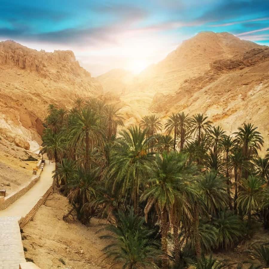 Au départ de Tunis : visite nocturne de 2 jours dans le désert avec ...