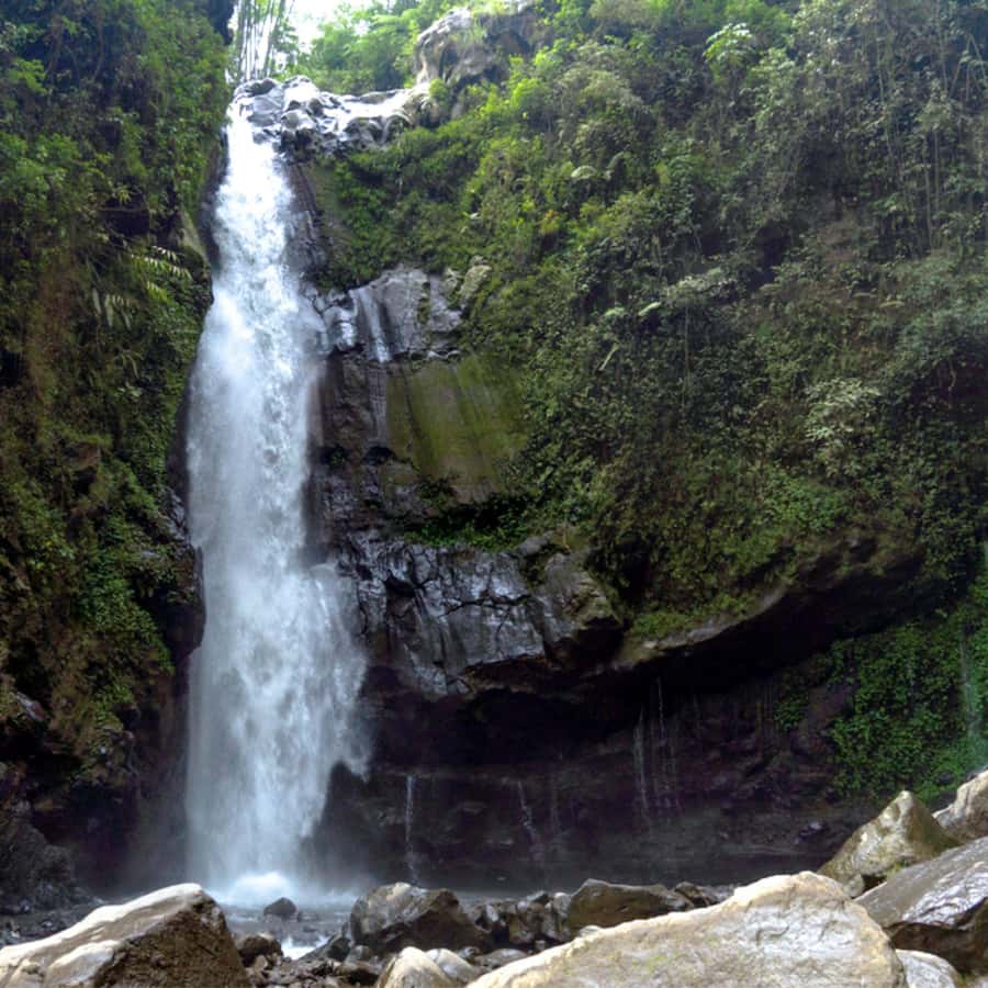 Yogyakarta: Selogriyo Temple, Rice Terraces & Waterfall Tour | GetYourGuide