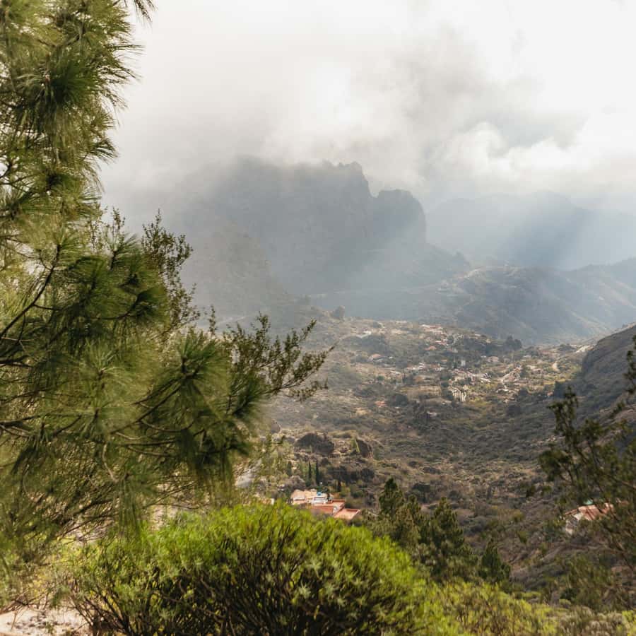 Gran Canaria: Volcano Sunset Tour and Local Food Tasting | GetYourGuide
