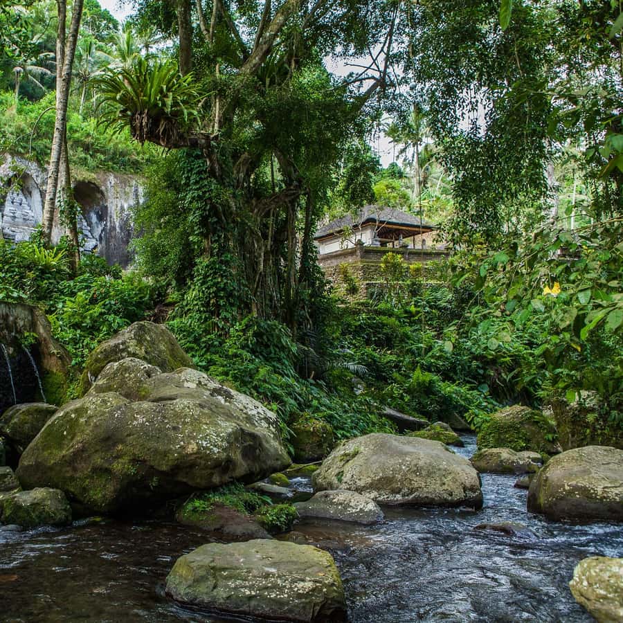 Bali: Hidden Canyon, Waterfall & Temples Small Group Tour | GetYourGuide