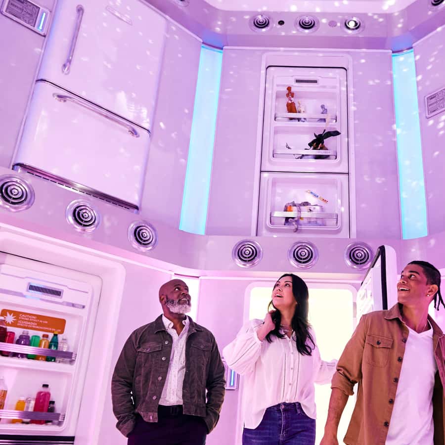 Grapevine: Meow Wolf The Real Unreal Ticket | GetYourGuide