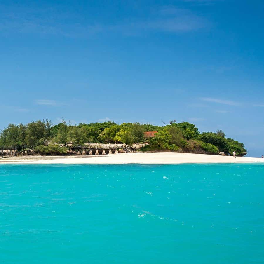 ZANZIBAR : Visite de l'île-prison, de la forêt de Jozani et de la ferme ...