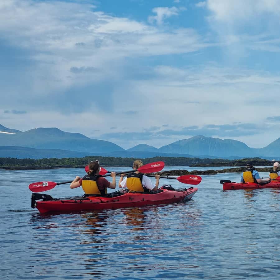 Molde - Guided kayak tour | GetYourGuide