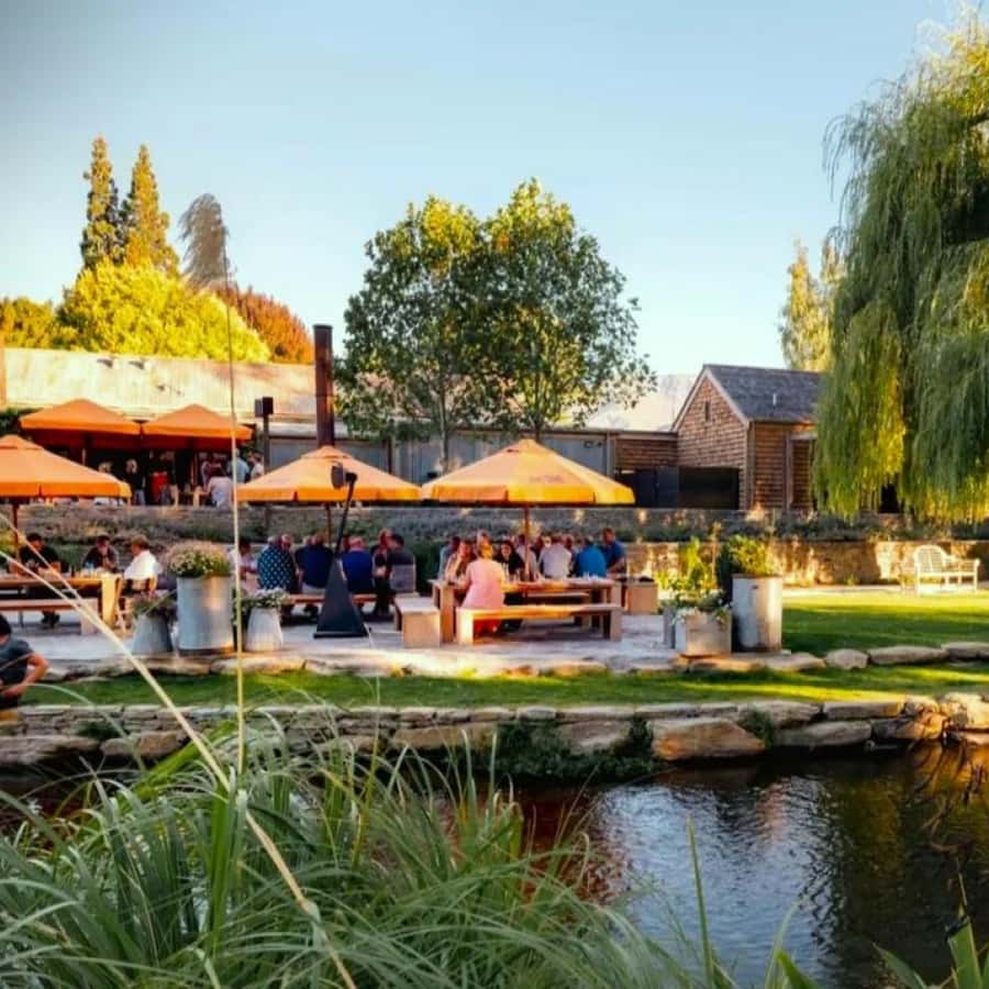 Queenstown: Wine Hopper Flexible Wine Tour | GetYourGuide