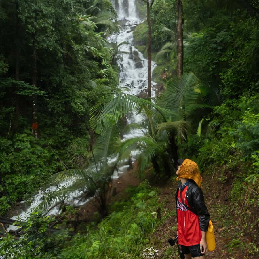 Chiang Mai: Na Kian Village & Huay Nam Yen Waterfall Tour | GetYourGuide