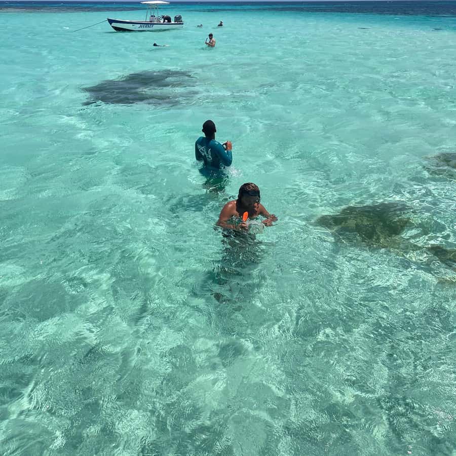 Roatan: Nurse Shark Snorkeling Adventure at Pigeon Cay | GetYourGuide