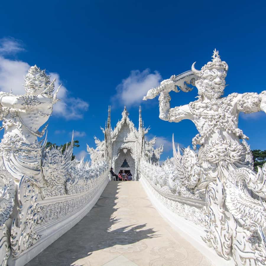 Chiang Mai: Tour zum Weißen Tempel und Blauen Tempel in Chiang Rai | GetYourGuide