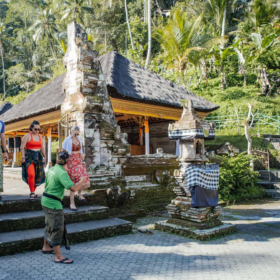 Bali: Hidden Canyon, Waterfall & Temples Small Group Tour | GetYourGuide