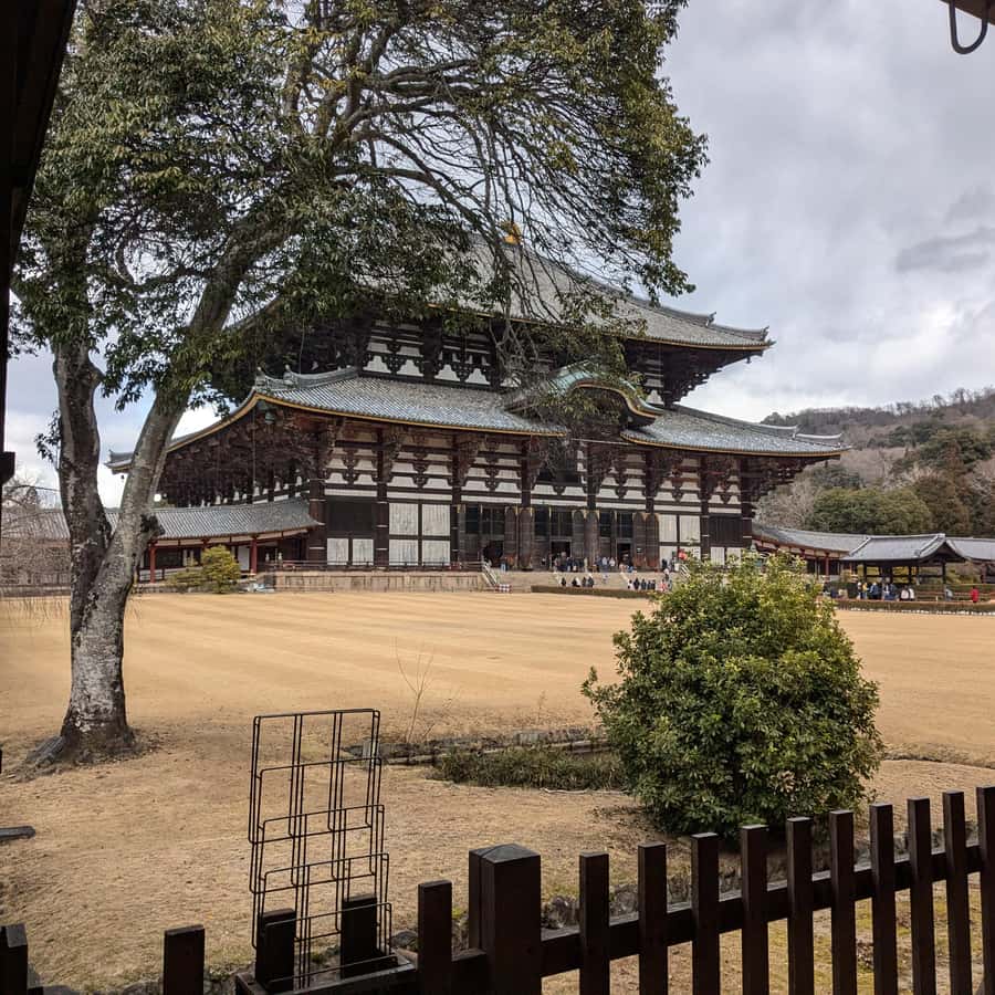 Private Nara Tour: UNESCO Heritage Sites & Deer Park Tour | GetYourGuide