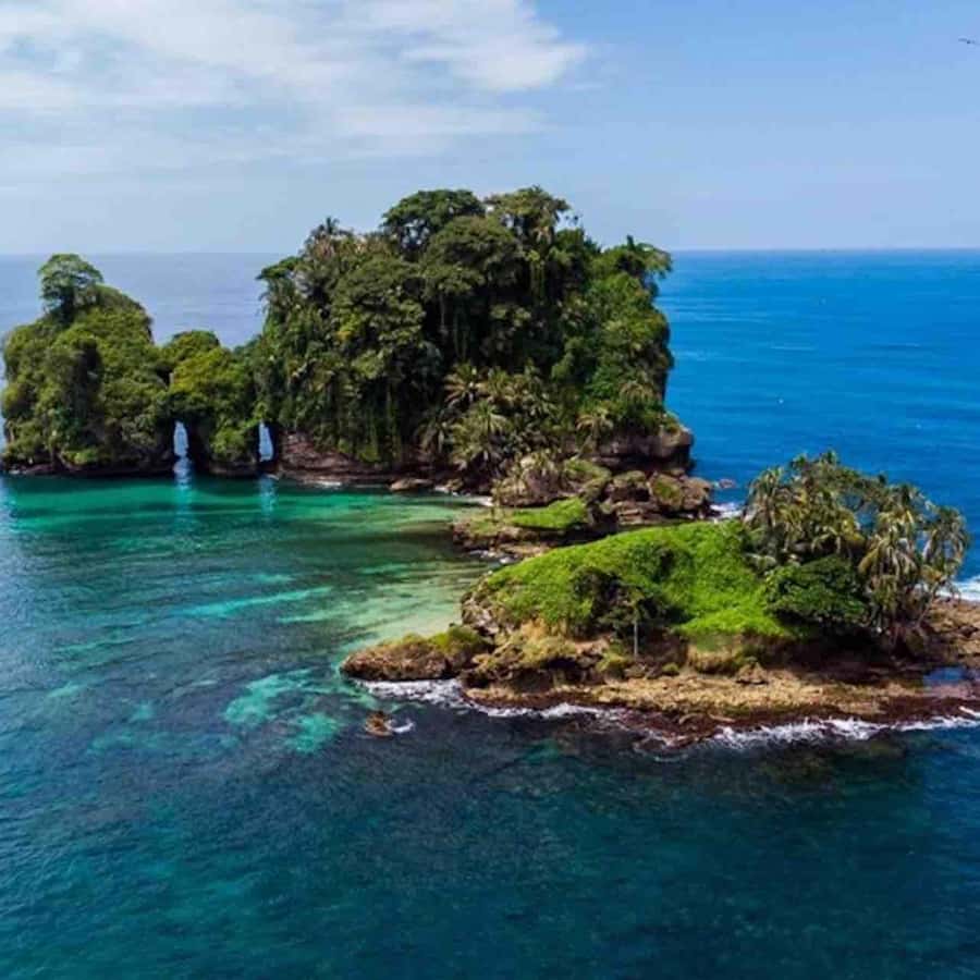 From Isla Colon: Bocas del Toro Archipelago Boat Tour | GetYourGuide