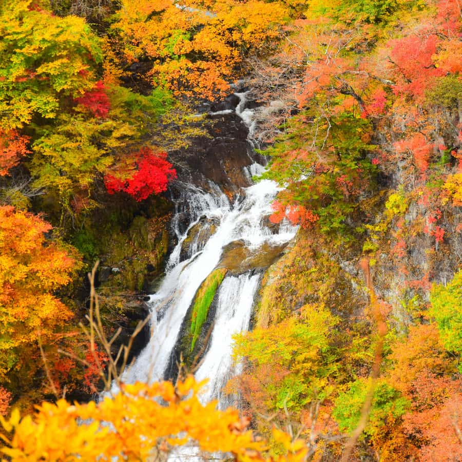 Tokio, Hakone, Fuji und Nikko, 3-tägige private Tour | GetYourGuide