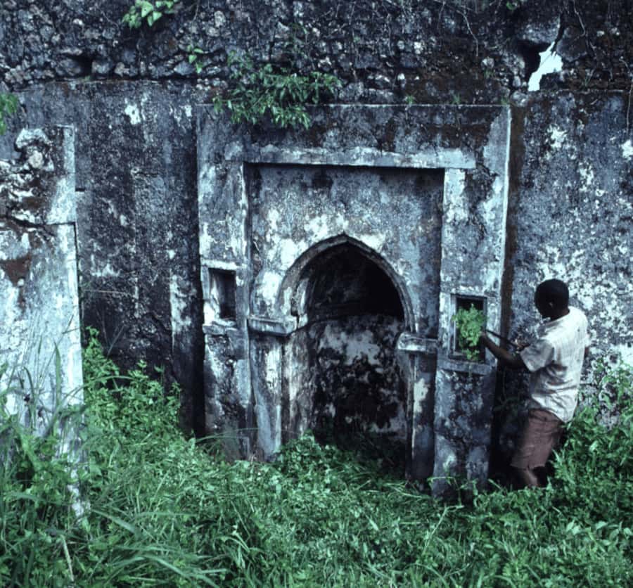 Isola di Pemba: tour di Chake Chake e Mkama Ndume | GetYourGuide