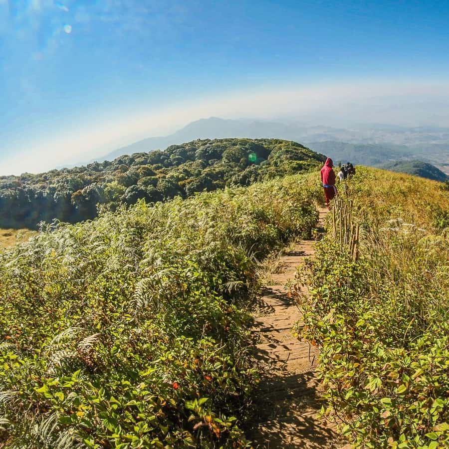 Chiang Mai: Trilho Natural Kew Mae Pan e Viagem de um Dia a Doi ...